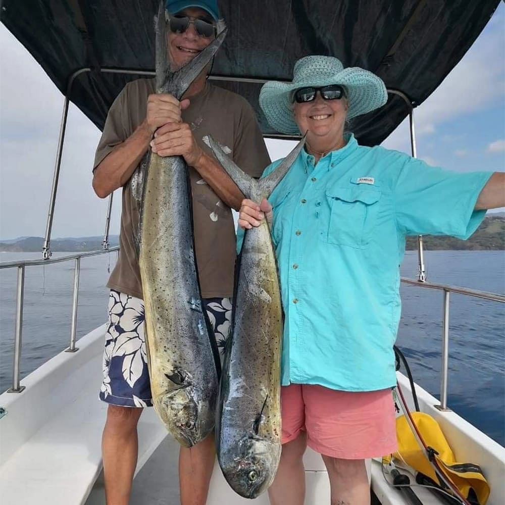 Samara Sea Tours - Explore Marine Wildlife