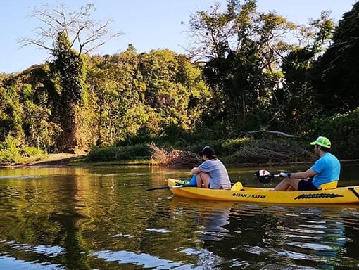 Amazing Mangrove Kayak Tour near Samara Beach