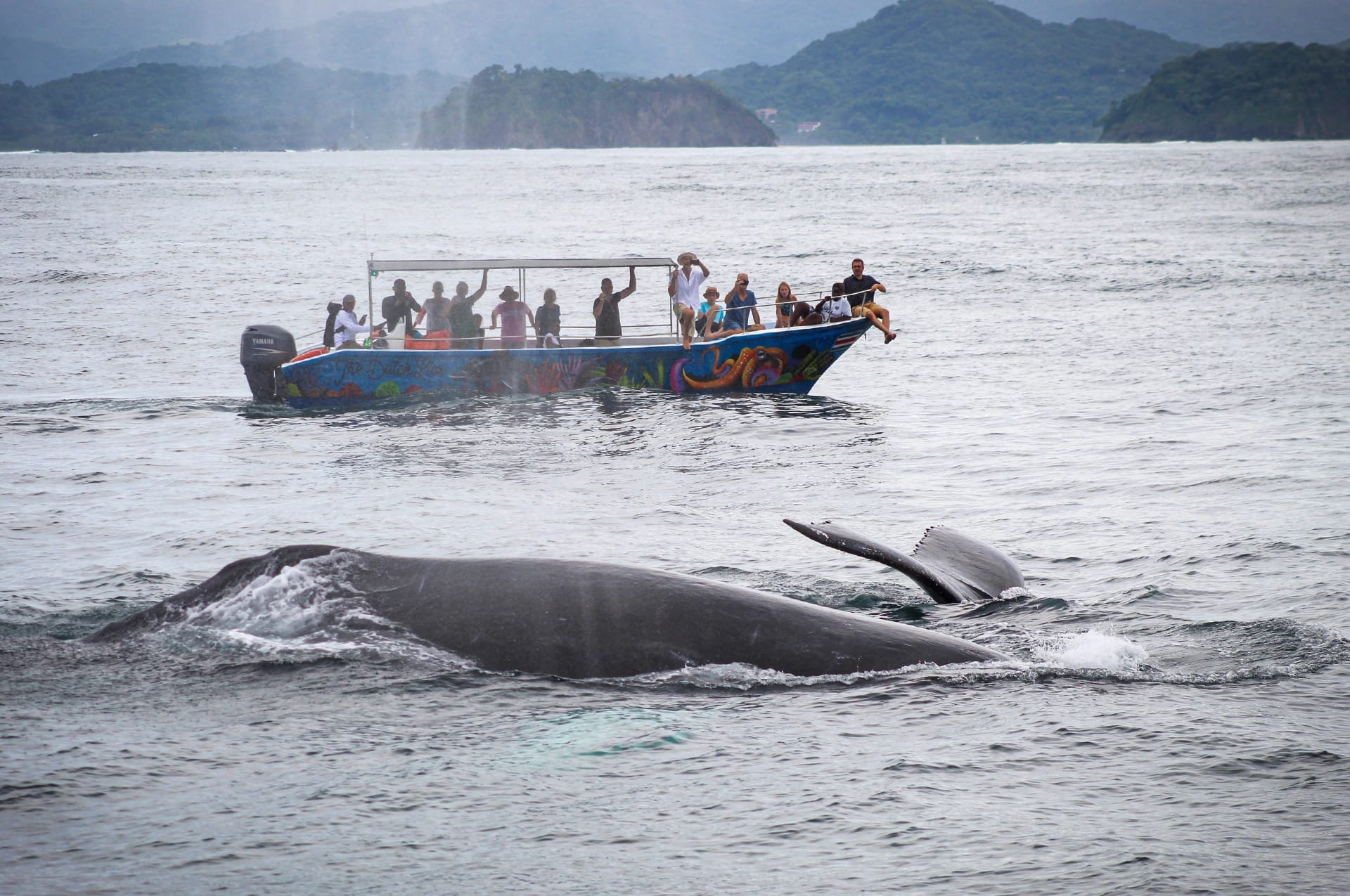 Samara Sea Tours - Explore Marine Wildlife
